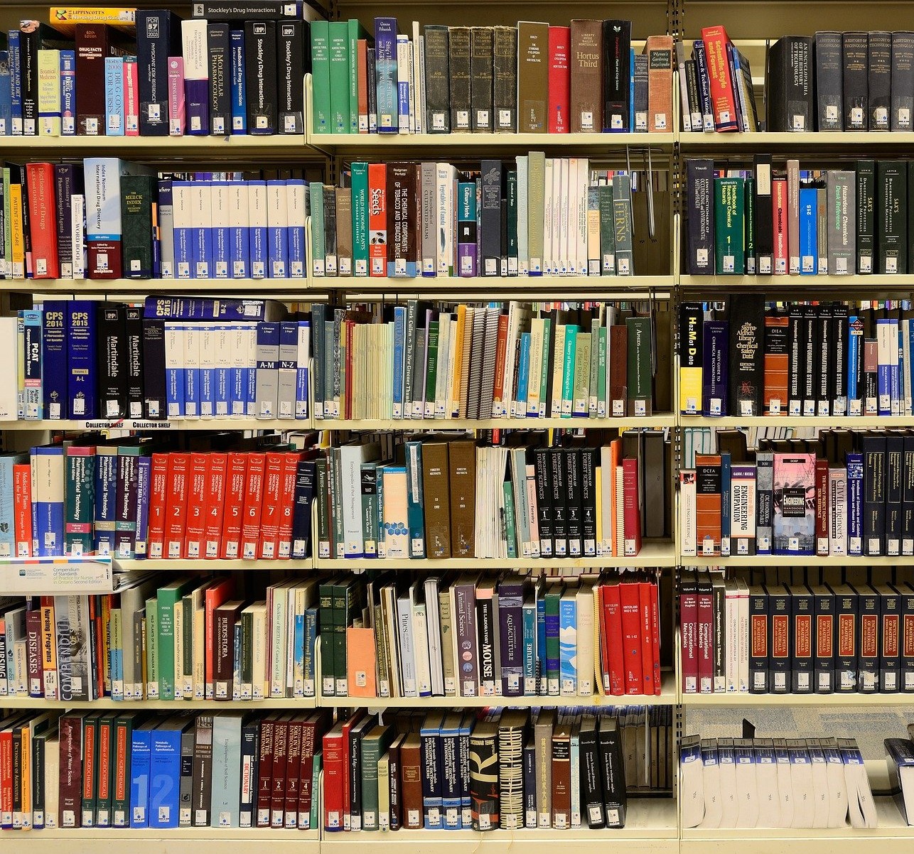 Become an Expert Network Professional with Techspert